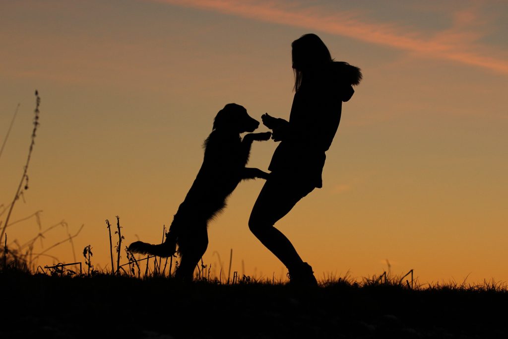 Die Verbindung zwischen Mensch und Tier - Dr. Adriane Mack